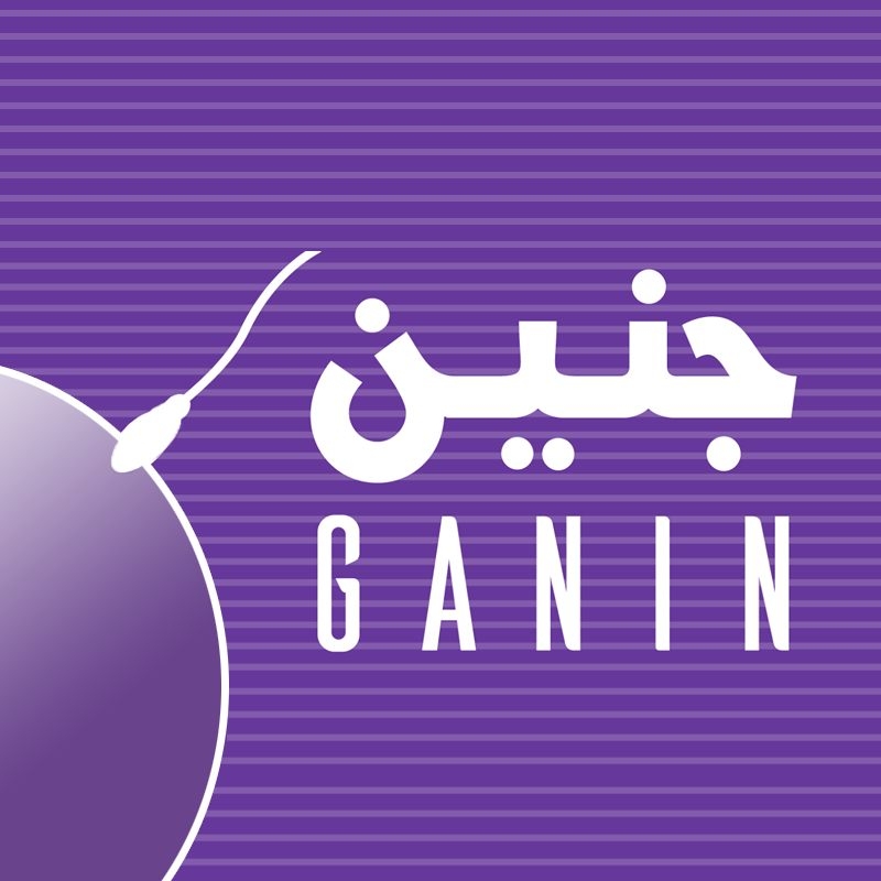 Statements Corp - Leading Business Consulting Firm Egypt | Financial ...